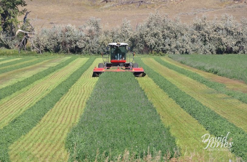 Image gallery from Roundup Montana and Musselshell County