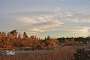 Image gallery from Roundup Montana and Musselshell County