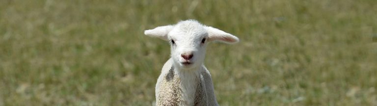 Welcome to Musselshell County Montana - Part of Big Sky Country